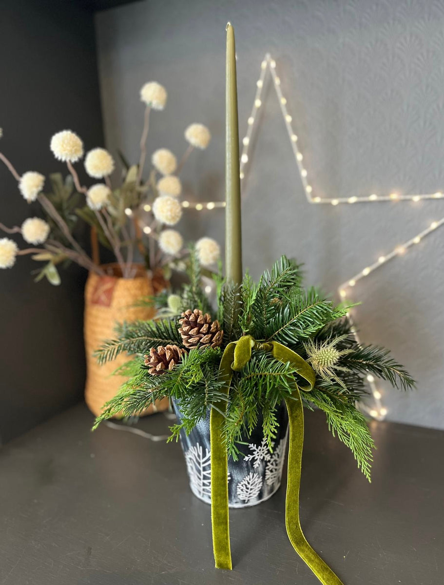 Comet – Flora and Fern